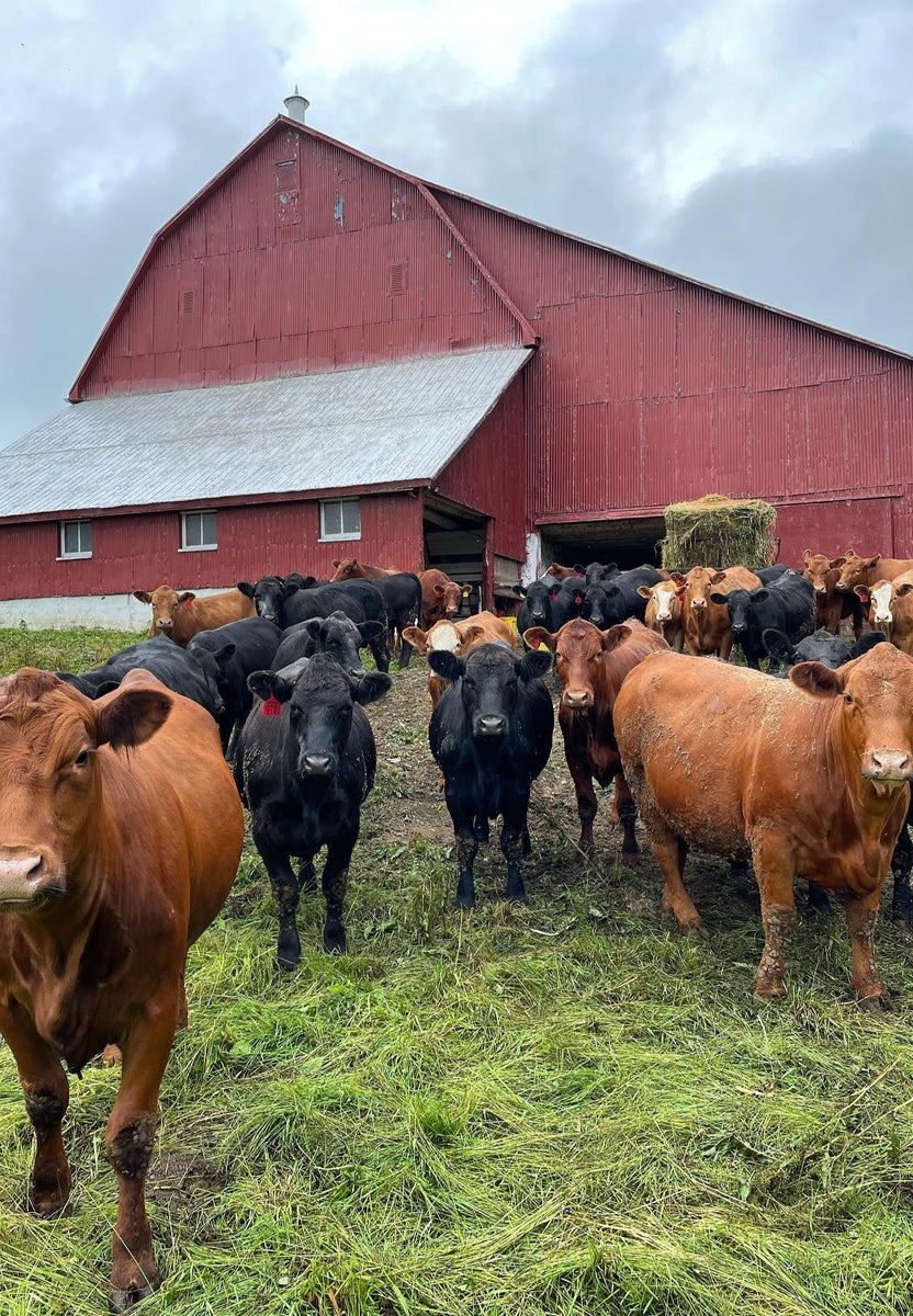 Higginson Farms - Know Your Farmer, Know Your Food